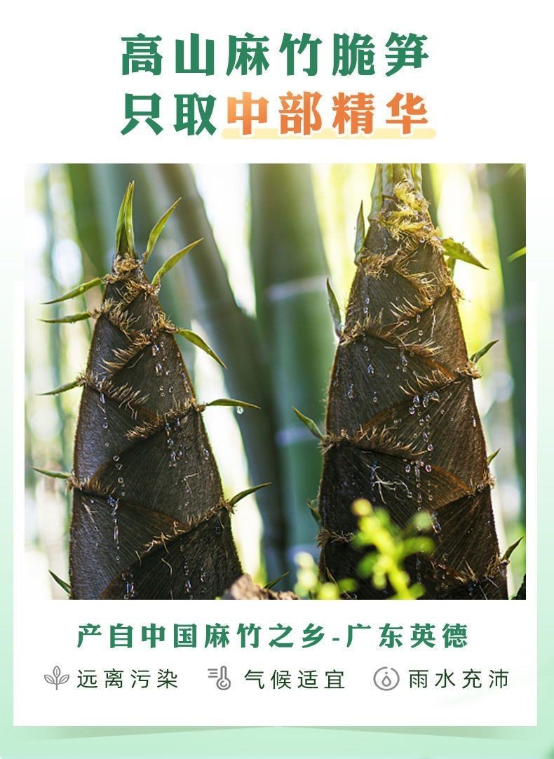 XUPAI Mountain Pepper Crispy Bamboo Shoots Pickled Pepper Bamboo Shoots ...