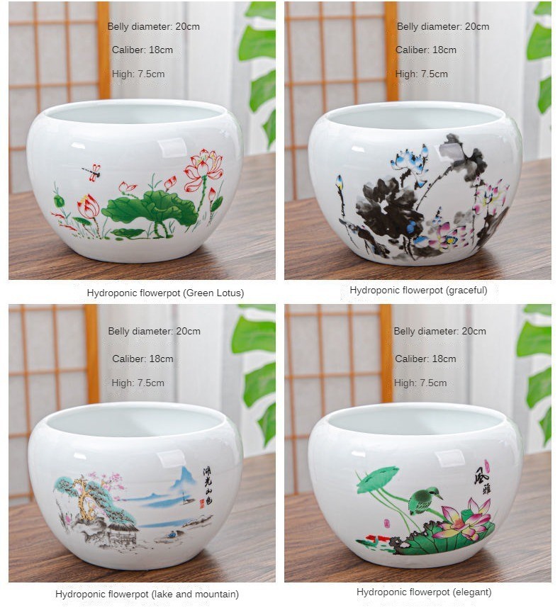 Flower Pot Non-Hole Hydroponic Household Extra Large Hydrocotyle ...