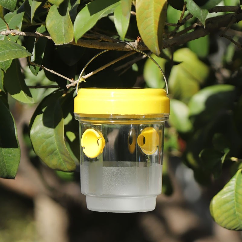 Solar Fruit Fly Trap Orchard Bee Trap Insect Trap Farm Insect Fly Trap ...