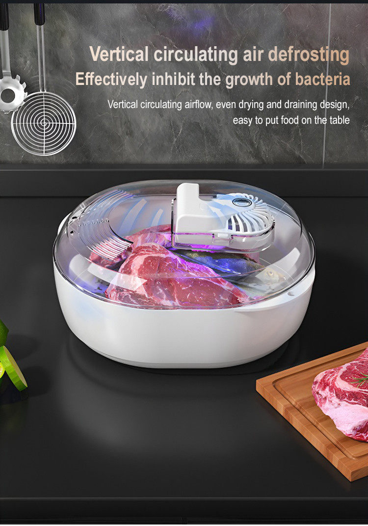 【HOT】[Ultra-fast Thawing/Time saving] 6-in-1 Atomizing Fast Thawing ...