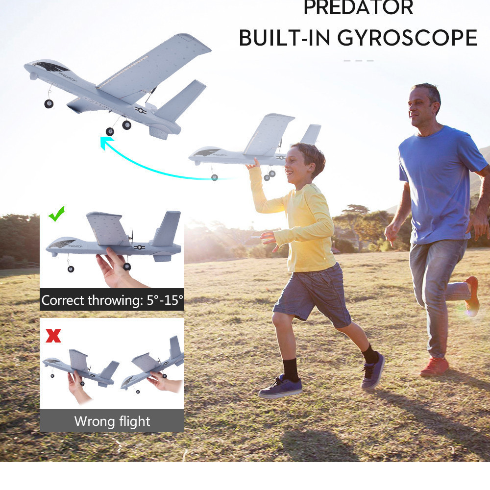 Rc Plane 2.4GHZ Dual Motor Gyro Stabilization System Medium DIY Epp ...