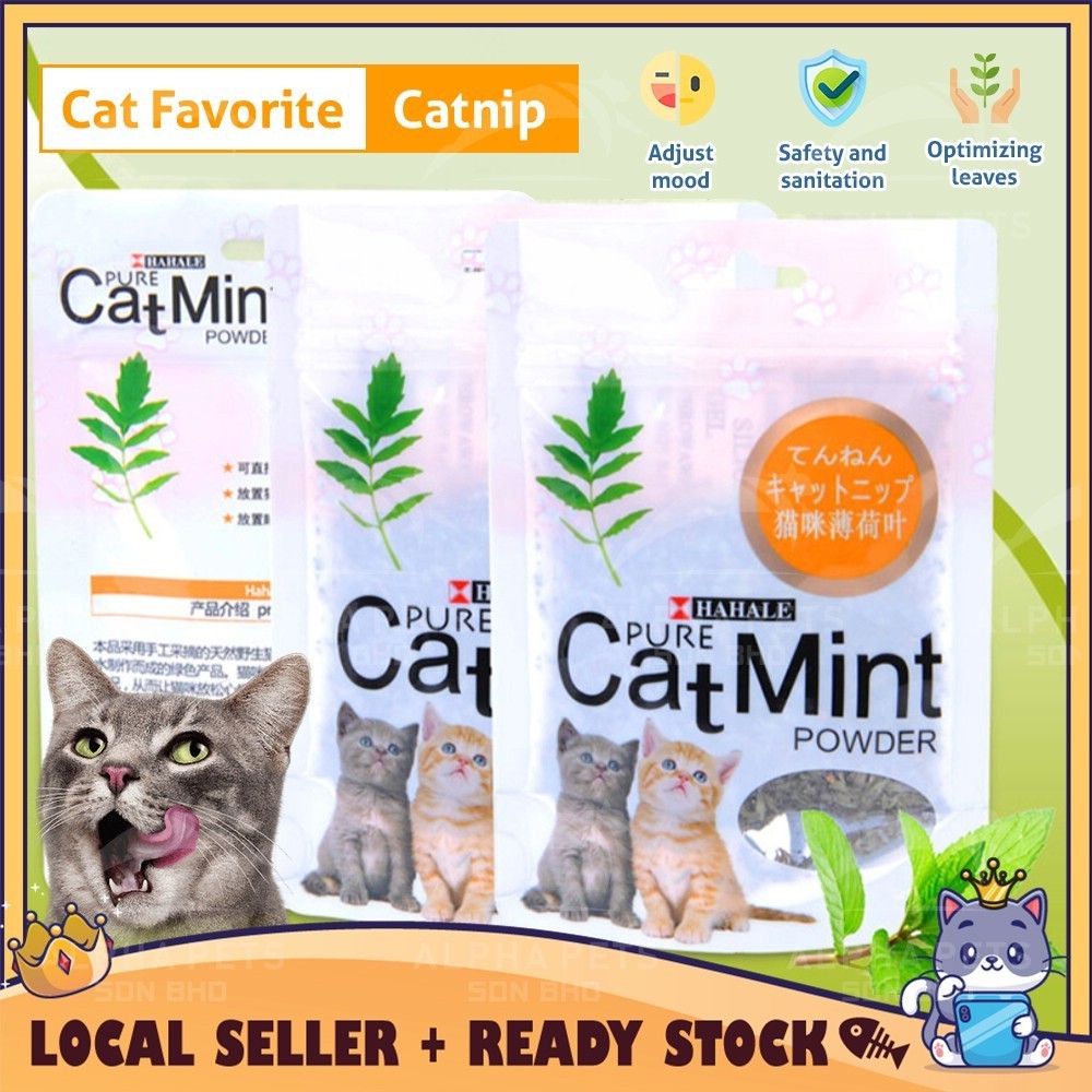CATQUEEN PETS MALAYSIA Super Premium Extra Strong American Catnip Fine ...