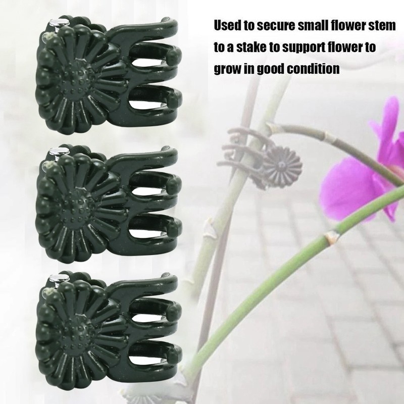20/50PCS 5-Claw Plant Clips Orchid Flowers Support Clamp Climbing Vine ...