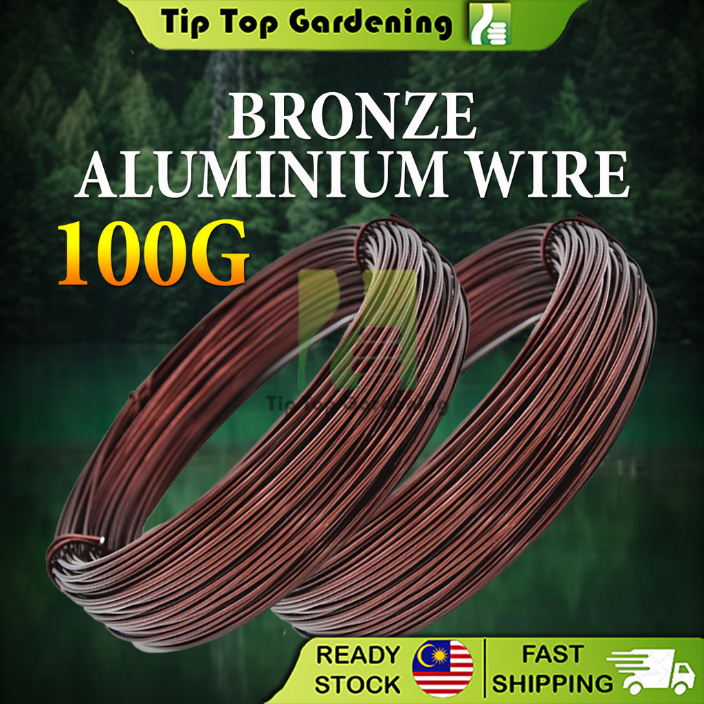100g Bronze Color Aluminium Wire Bonsai Wire Modeling Aluminum Wire ...