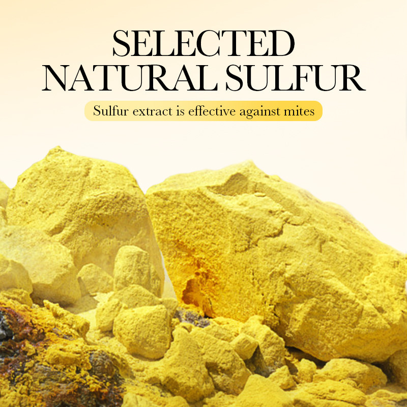 ROREC SADOER Sulfur Soap Mite Removal Cleaning Repair Gentle Cleansing ...