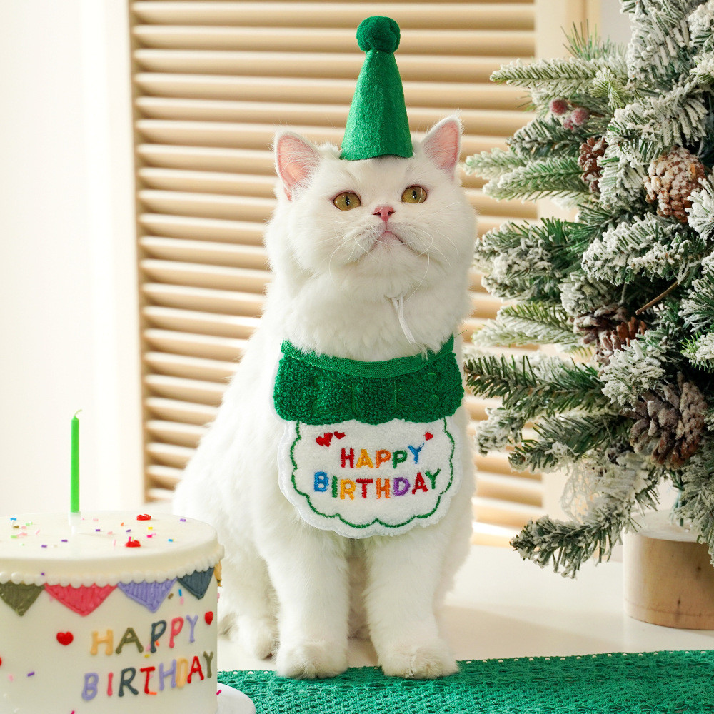 Ins Dog Cat Birthday Party Hat Cute Pet Birthday Party Dress Up Pet ...