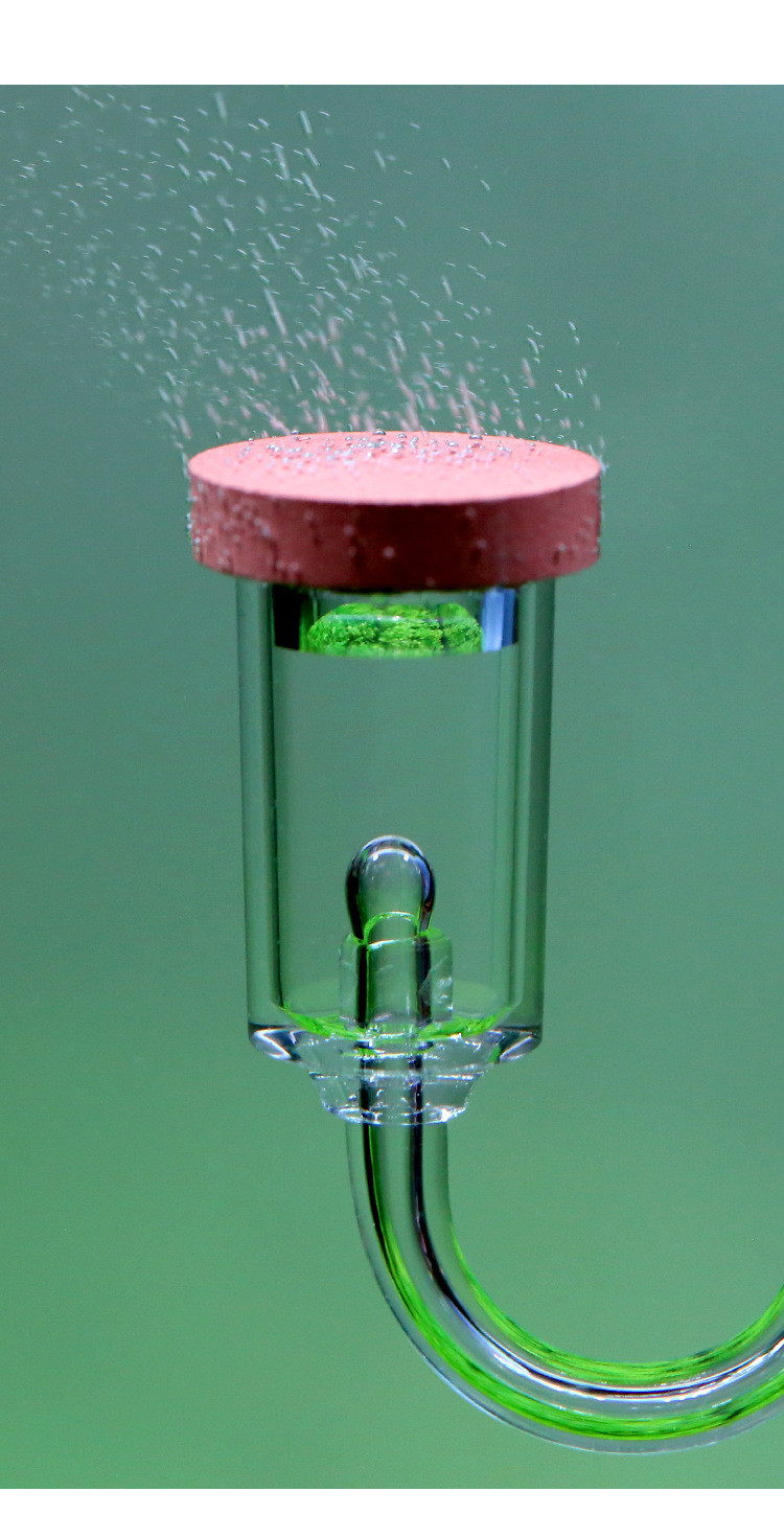 AQUAPRO Nano CO2 Diffuser Acrylic Carbon Dioxide Atomizer Korean Made ...