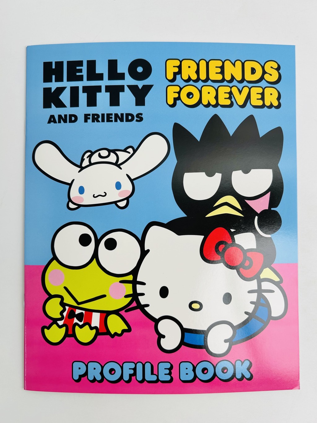 Hello Kitty & Friends Forever Profile Guide Book For Kids with Fun ...