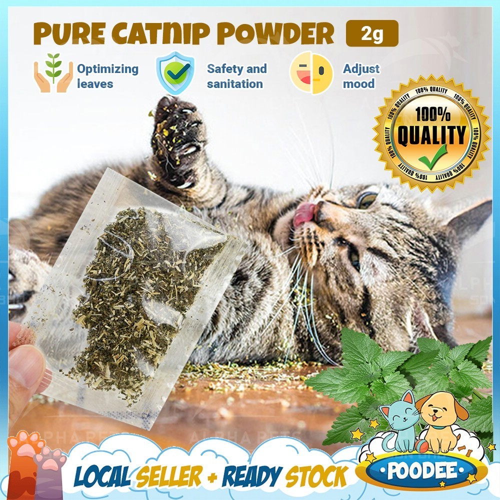 POODEE Eco-friendly Natural Cleaning Original Catnip Grass Cat Rumput Kucing Powder Cat Fur ...