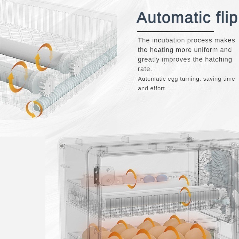 50W Household Fully Automatic Incubator Small Digital Display Screen ...