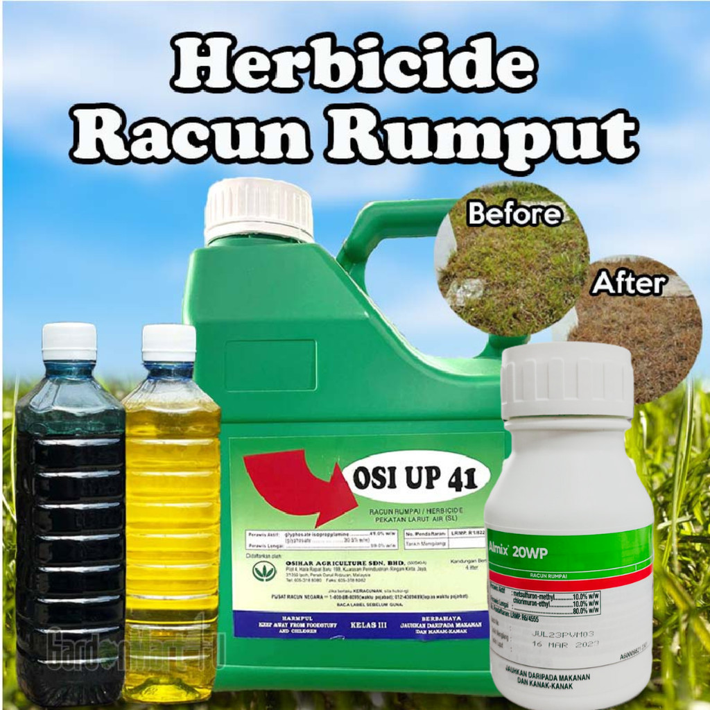 Almix 20WP Racun Rumput Karpet RoundUp Racun Rumput Sambau Racun Rumpai ...