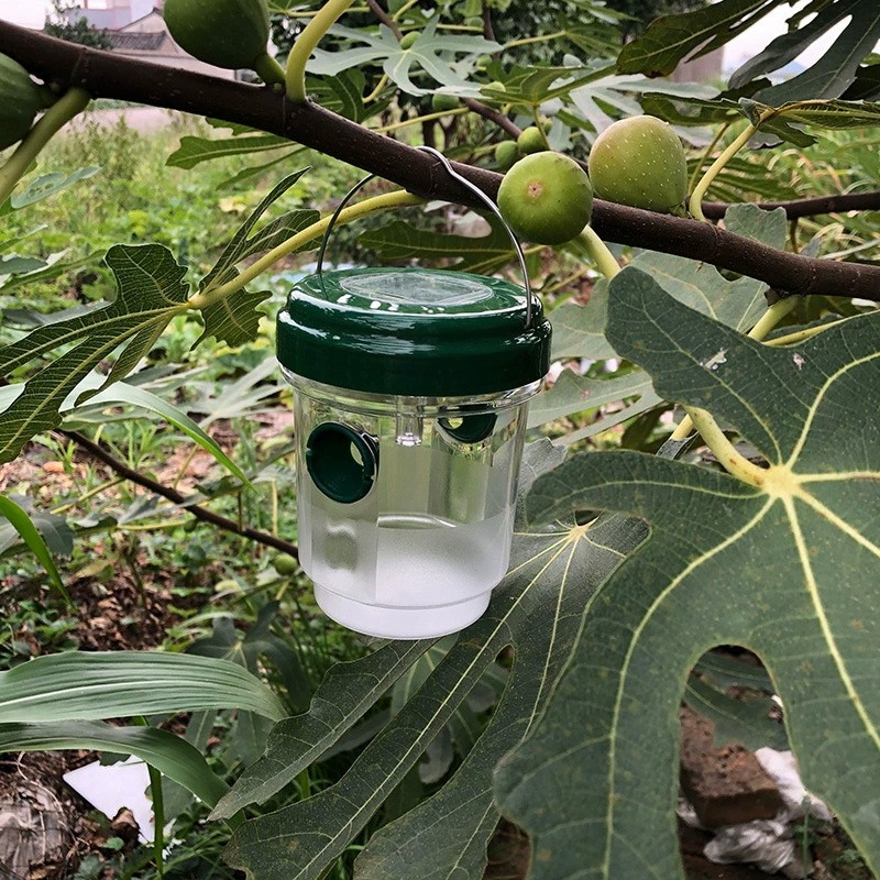Solar Fruit Fly Trap Orchard Bee Trap Insect Trap Farm Insect Fly Trap ...
