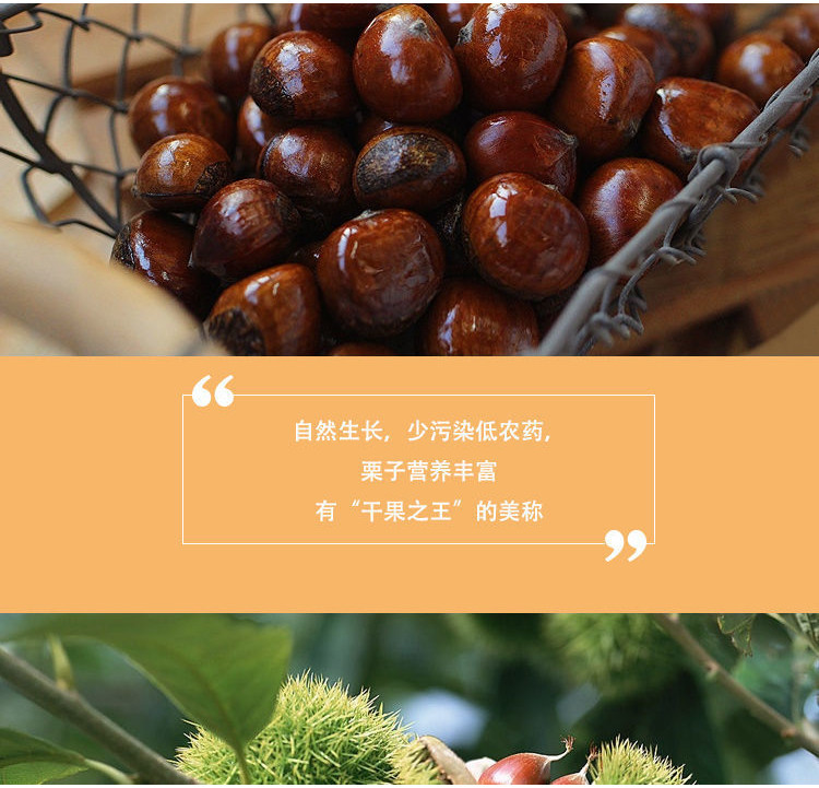 100g 板栗仁即食 Chestnut Kernels Instant | Shopee Malaysia