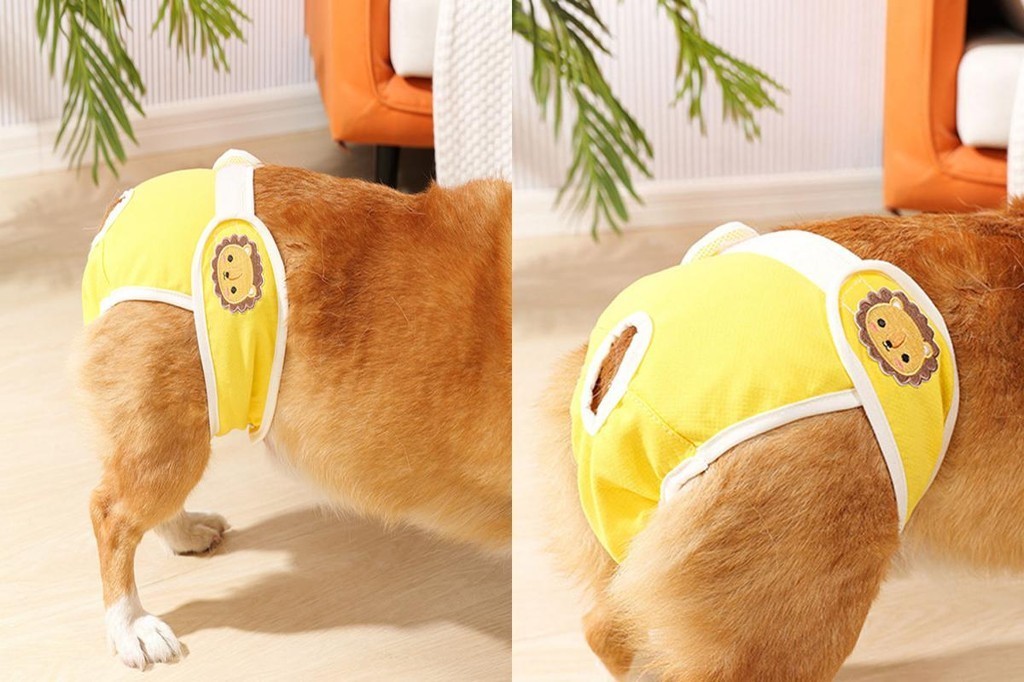 YX Washable Dog Diaper Menstrual Care for Female Dogs Breathable Dog ...