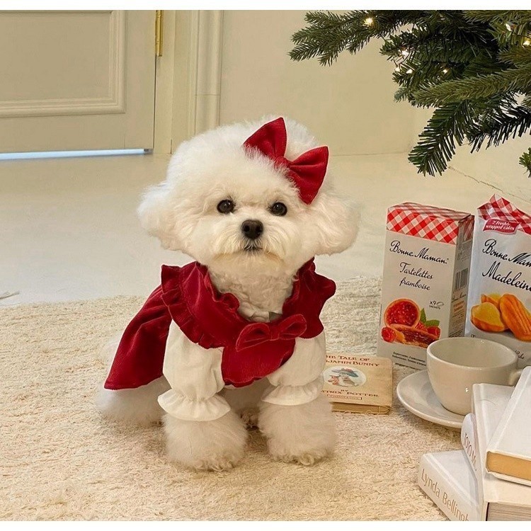 Pet Dress Couple Red Dress Chinese New Year Dog Clothes Cat Shirt ...