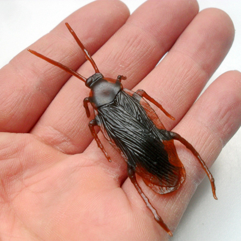 Simulated Cockroach Toy Fake Cockroach Creative Realistic Cockroach ...