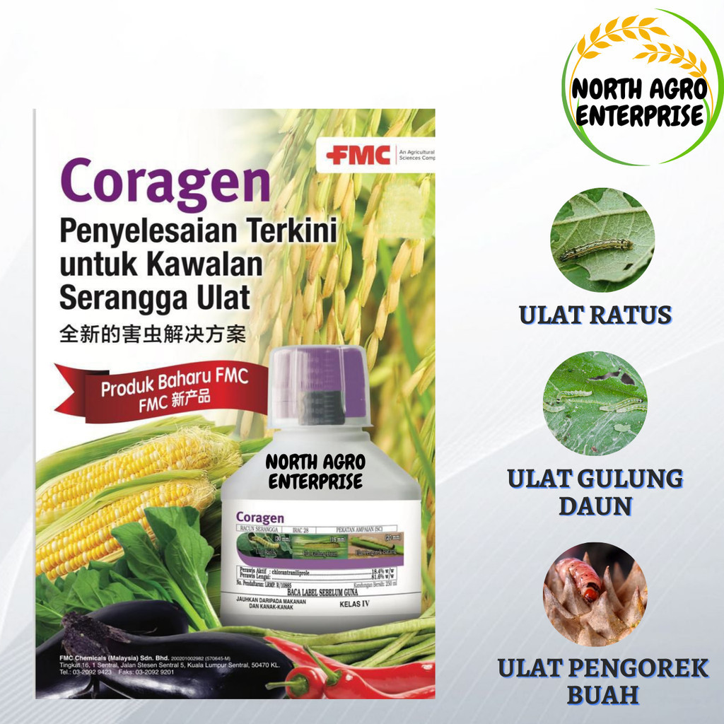 FMC Coragen SC | Racun Ulat Batang | Ulat Gulung Daun | Ulat Ratus | Lebih Power Banding ...