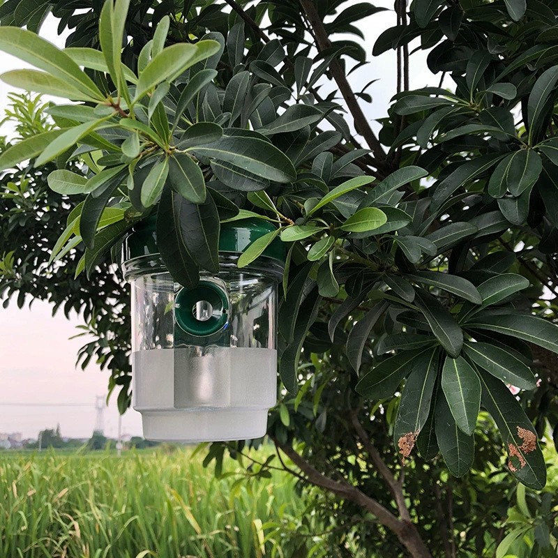 Solar Fruit Fly Trap Orchard Bee Trap Insect Trap Farm Insect Fly Trap ...