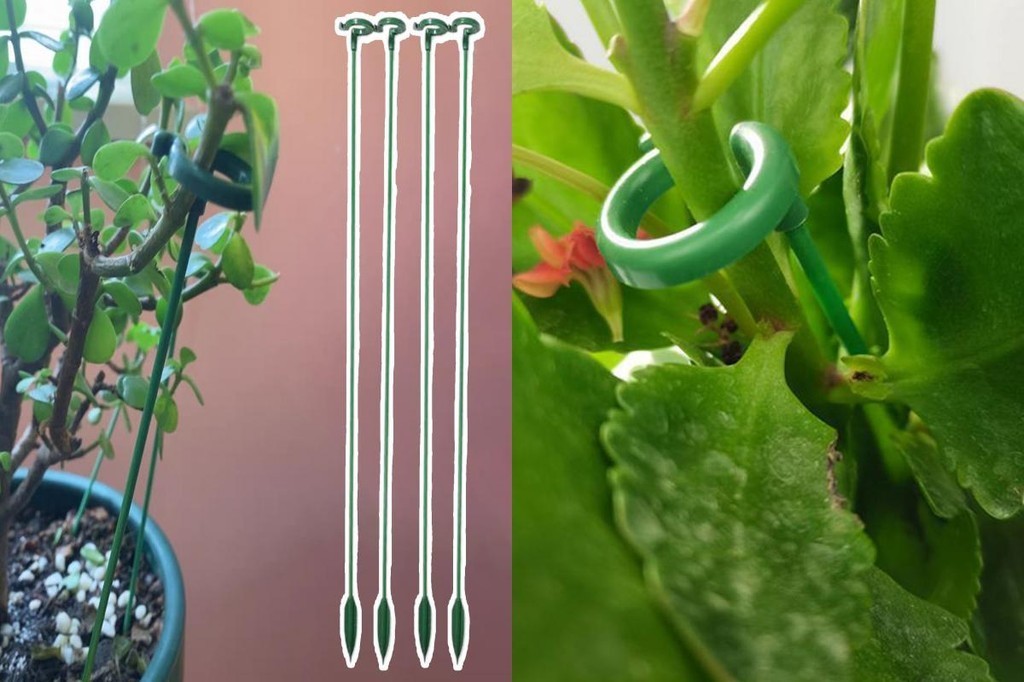 Flower Pot Stand Stem Plant Growth Aid 10pcs Plant Support Stakes with ...