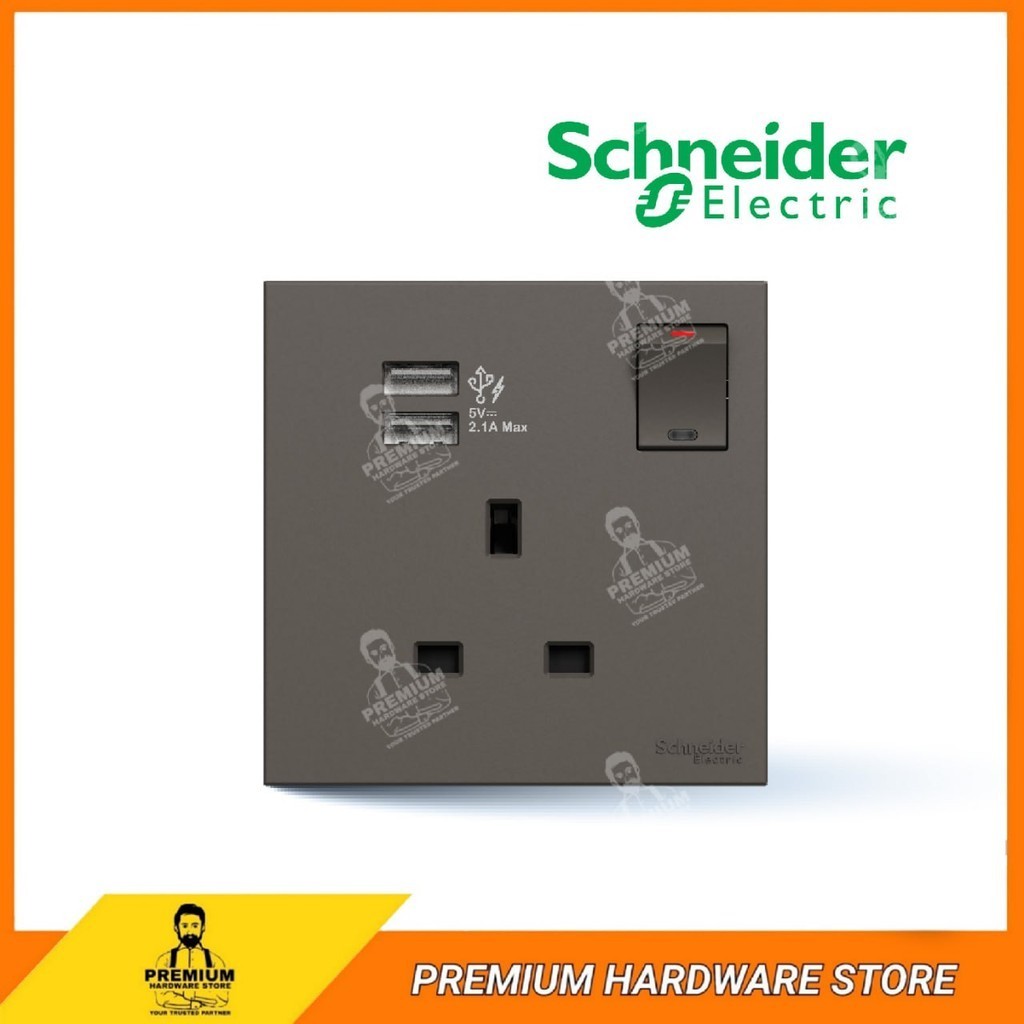 AVATAR ON C SCHNEIDER 13A Switch Socket with 2X2.1A USB Port (1G ...