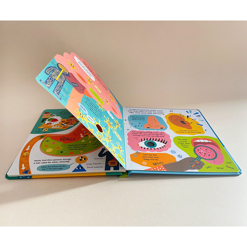 Your Body,Germs Usborne Step Inside Science children English ...