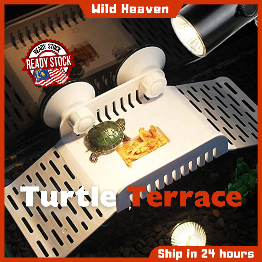 Turtle Terrace Basking Platform Reptile Pier Dock Island Decoration
