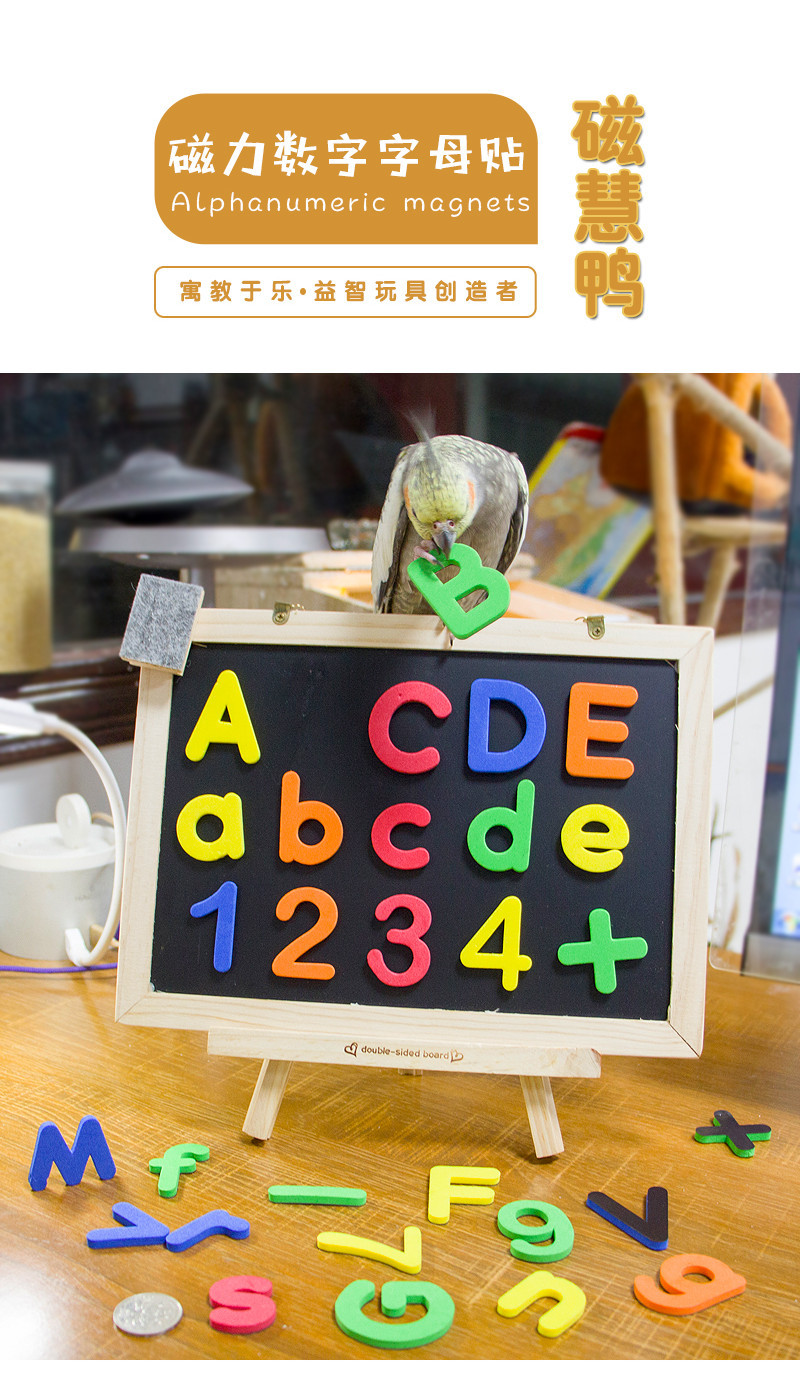 Magnetic Alphabet Color ABCD Letter Number Symbol Early Education ...