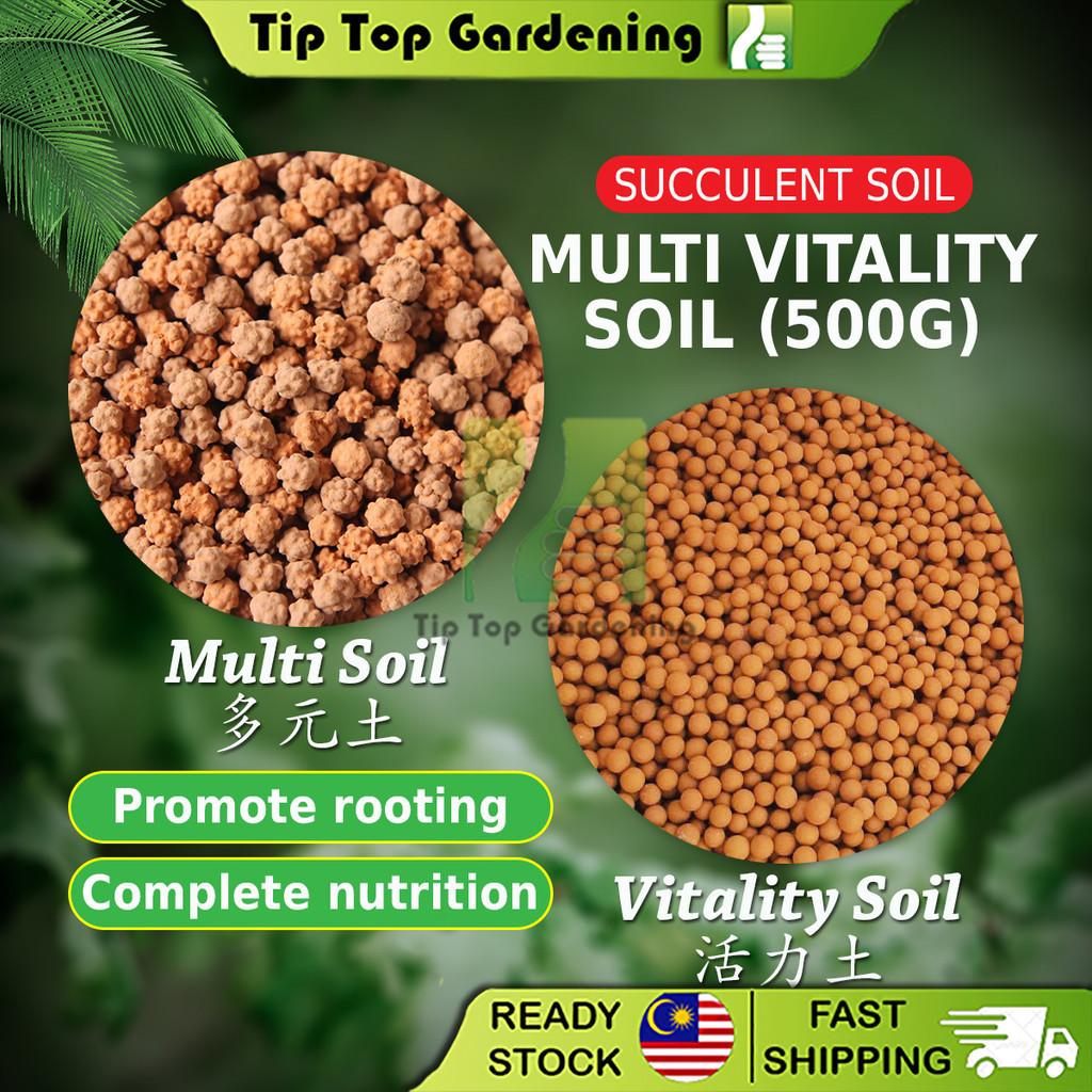 500g Multi Vitality Soil For Succulents Succulent Soil 凹凸多元土 平滑活力土 ...