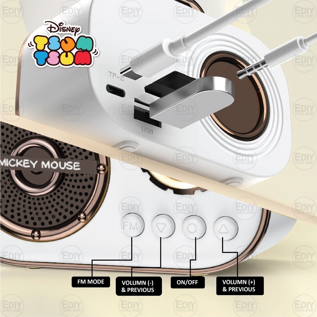 Rechargeable Wireless Mini Speaker Karaoke Microphone Mic FM Radio ...