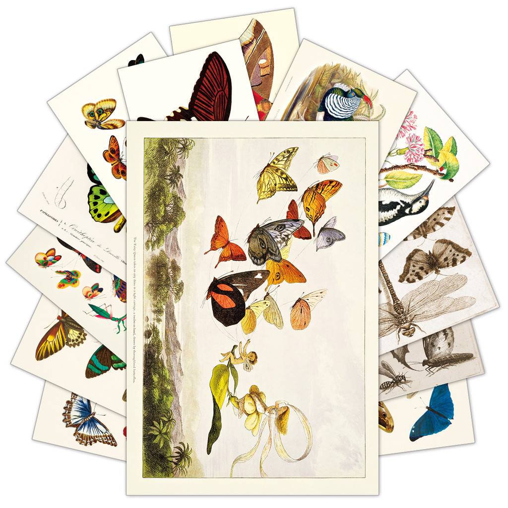 50Pcs Vintage Botanical Aesthetic Wall Collage Kit & Fauna Insects ...