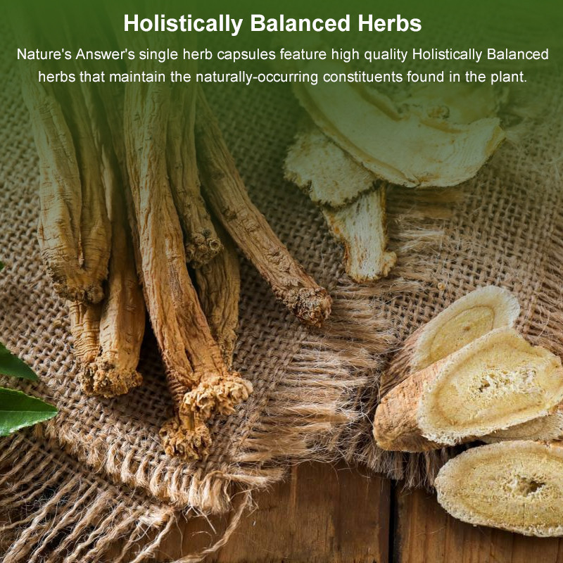 【XEMENRY】Angelica sinensis supplement 1000mg - balances female hormones ...