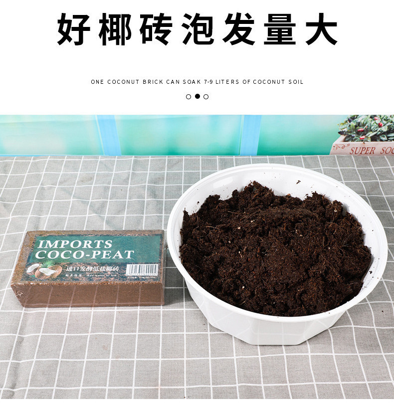 CASA CART Penanaman Tanah Berkhasiat Tanah Kelapa Khusus Mampat Berbuih ...