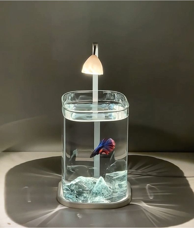 2 in 1 Glass Fish Tank Fashion Aquarium Betta Fish Night Light High ...