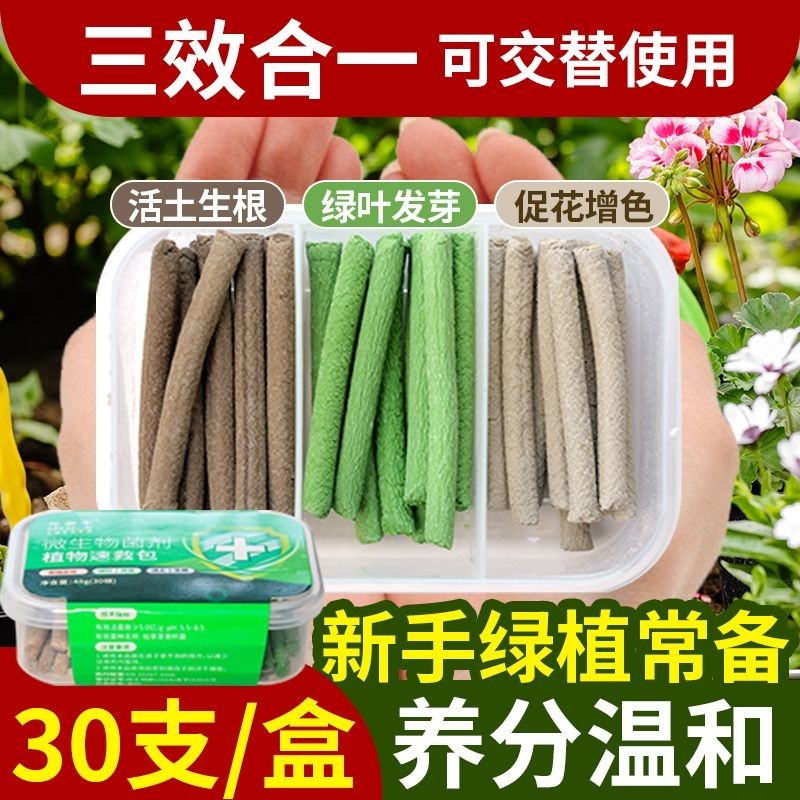 Baja tumbuhan hijau pelepasan perlahan batang nutrien baja bunga isi ...