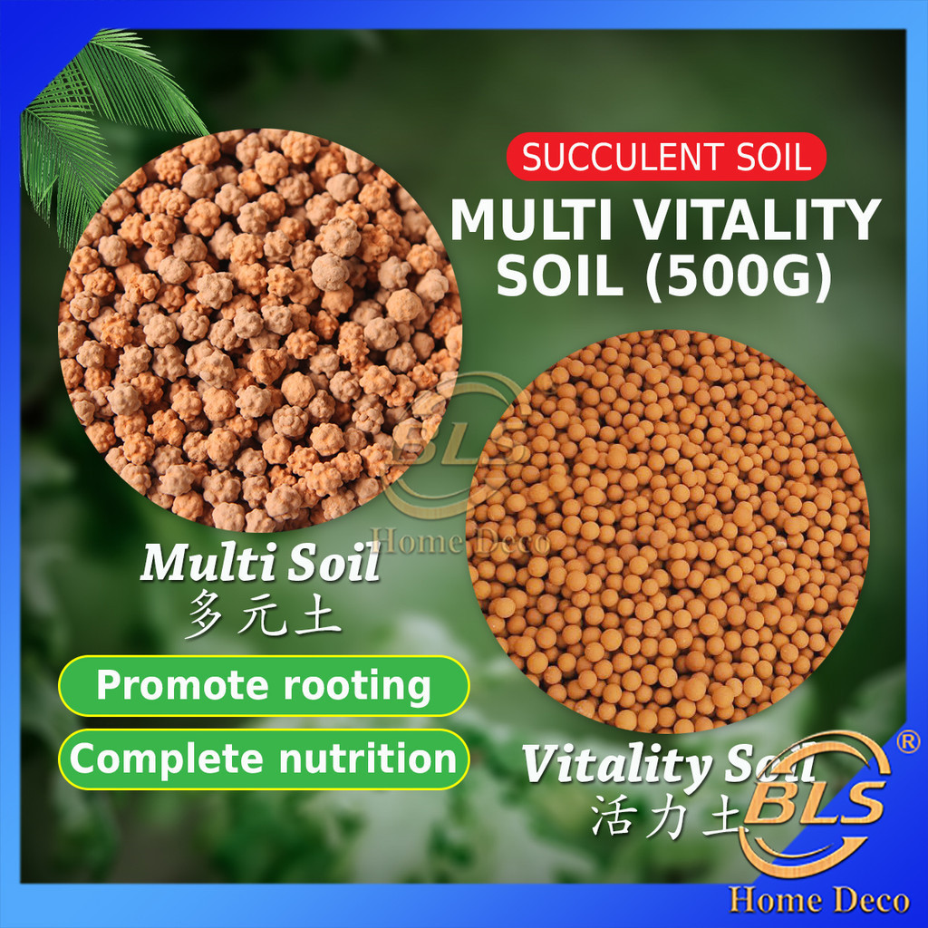 500g Multi Vitality Soil For Succulents Succulent Soil 凹凸多元土 平滑活力土 ...