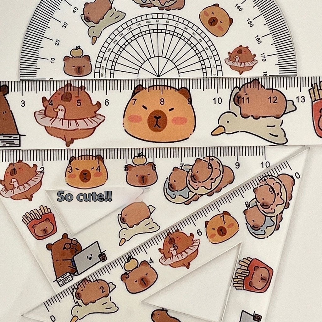 【High-Aesthetic & Cute Transparent】Capybara Learning Ruler Set ...