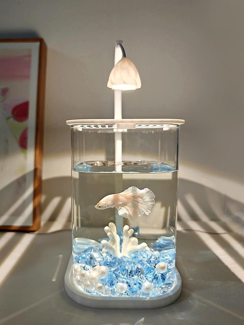 2 in 1 Glass Fish Tank Fashion Aquarium Betta Fish Night Light High ...