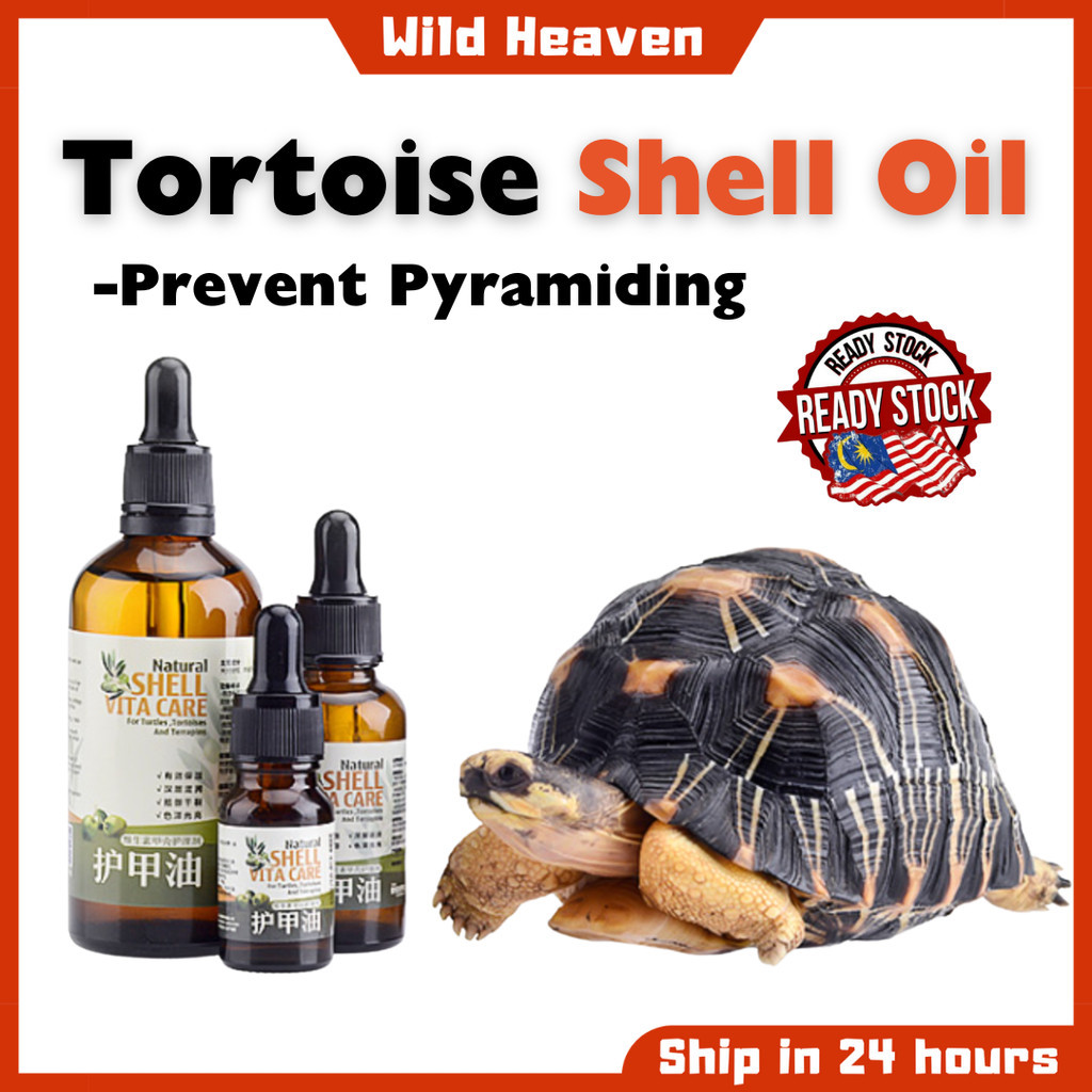 Tortoise Shell Oil Avoid Tortoise From Pyramid Turtle Moisturise Shell ...