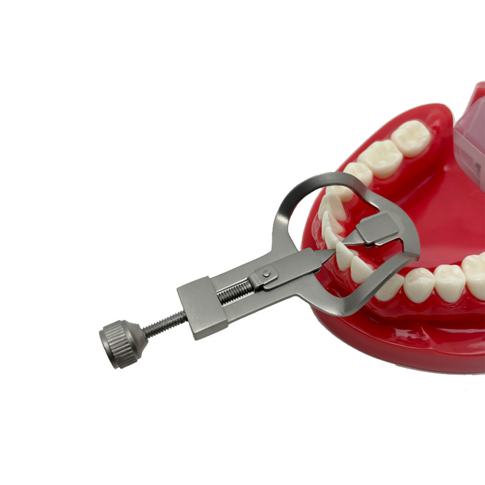 Dental Tooth Separator Anterior/Posterior Divider Wedges Retainer ...