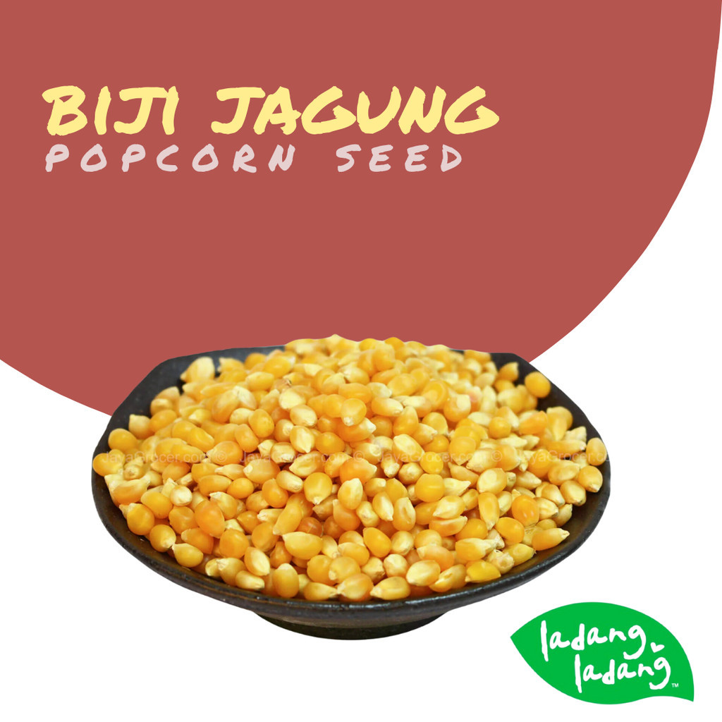 Ladang-Ladang Popcorn Seed 1kg | Biji Jagung 1kg | Shopee Malaysia