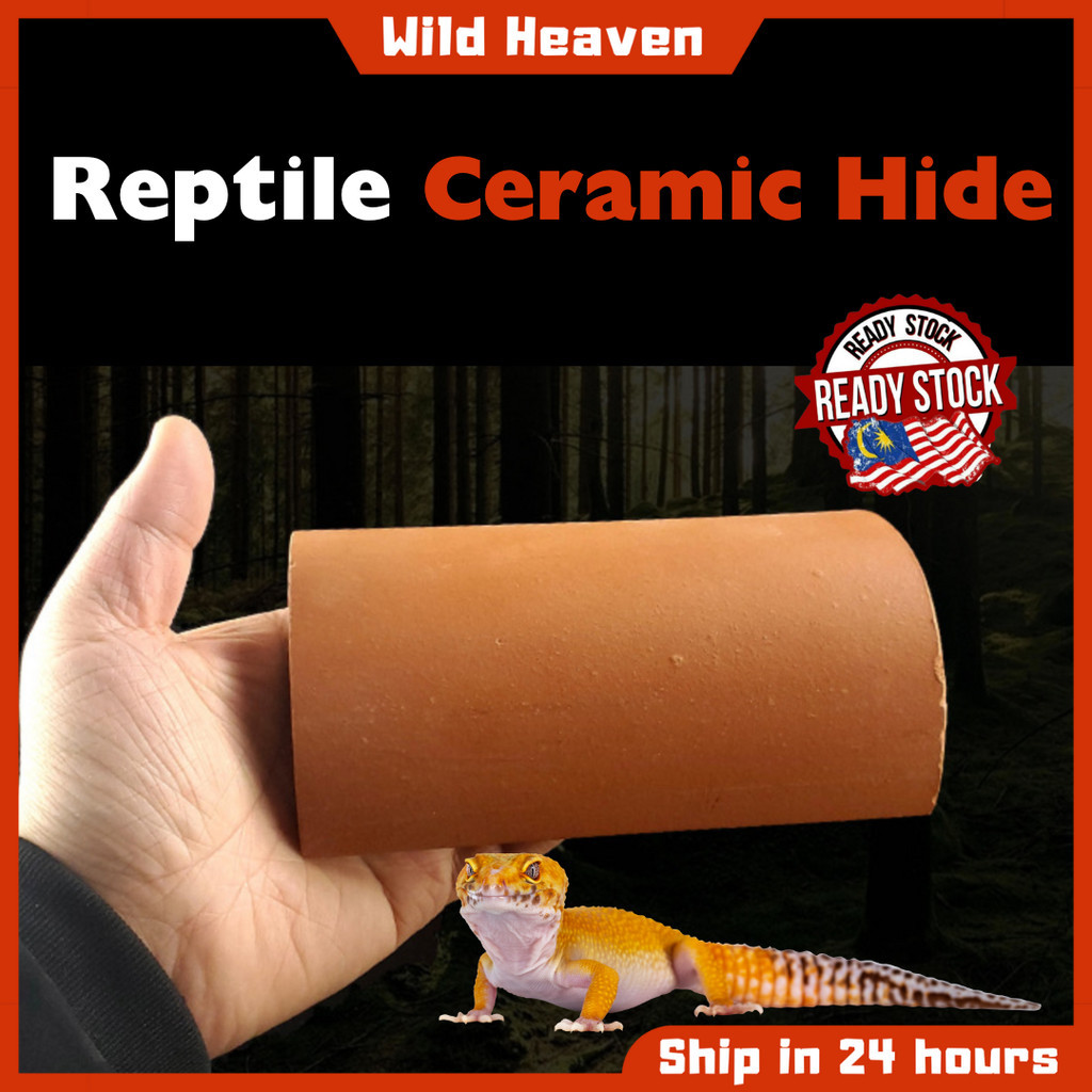 Ceramic Cave House Reptile Hide Lizards Frogs Gecko Cave（躲避 /守宫窝 ...