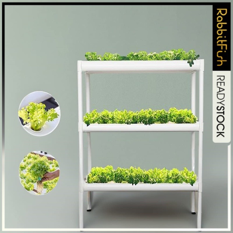 3/4 levels 36/108 growing sites Hydroponic growing tool kit Vegetable ...
