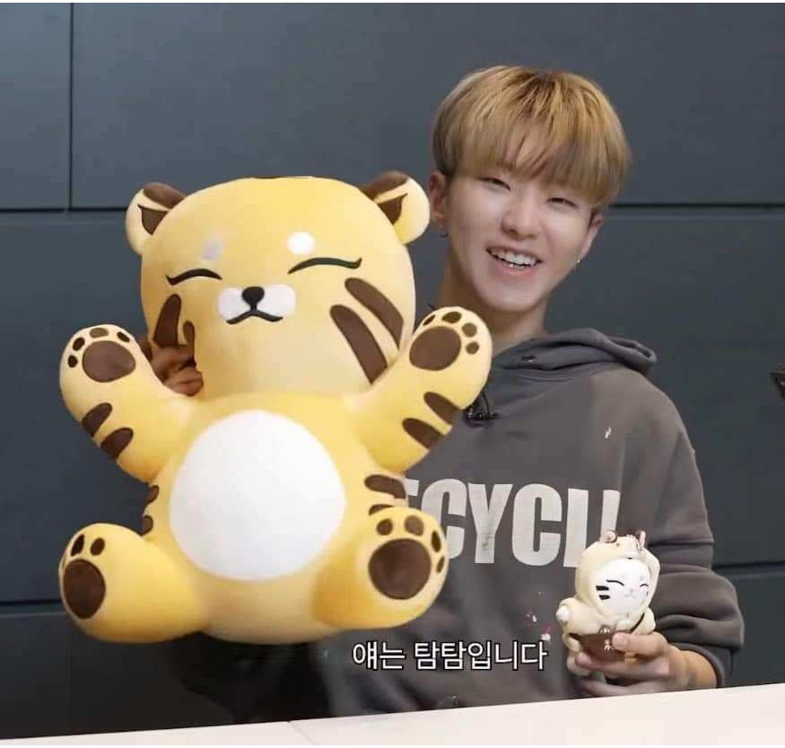 43cm Kpop Idol SEVENTEEN HOSHI Plush Toy TAMTAM Dolls Stuffed Tiger ...