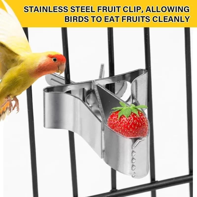 1Pcs Birds Food Holder Pet Parrot Feeding Fruit Vegtable Clip Feeder ...