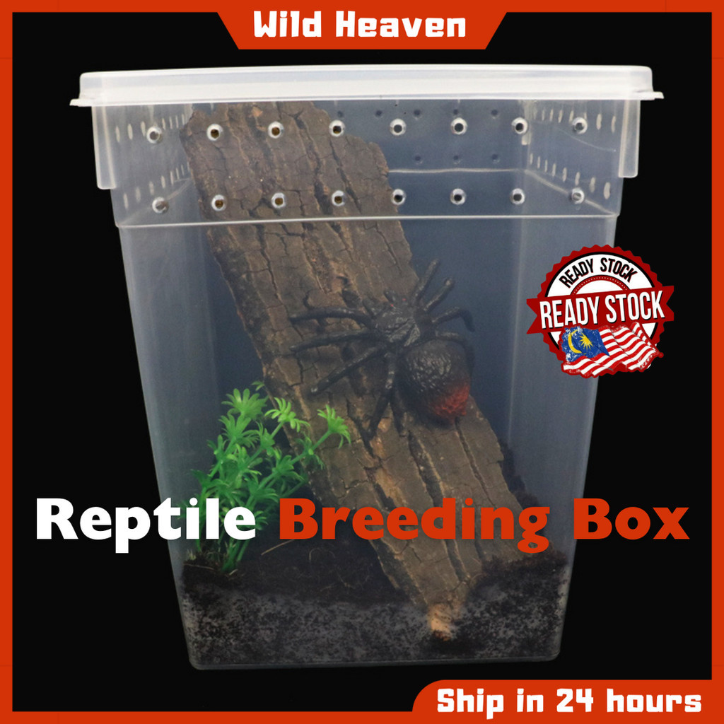 Reptile Plastic Breeding Box Shelter Insects Horn Frog Gecko Lizard ...