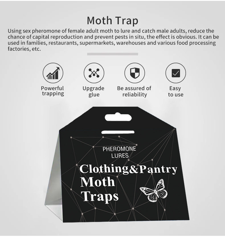 🔥Hot item🔥5 PCS Cloth Moth DIY Trap 1 Packs [Indian Meal Moth ...