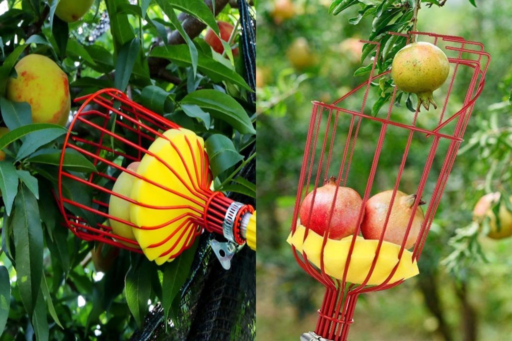 Easy Fruit Picking Sponge Fruit Protector Efficient Fruit Picker Tool ...