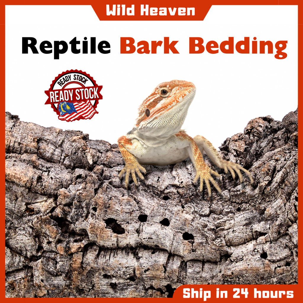 Reptile Bark Bedding Natural Cork Habitat Tree Bark Spider Wood ...