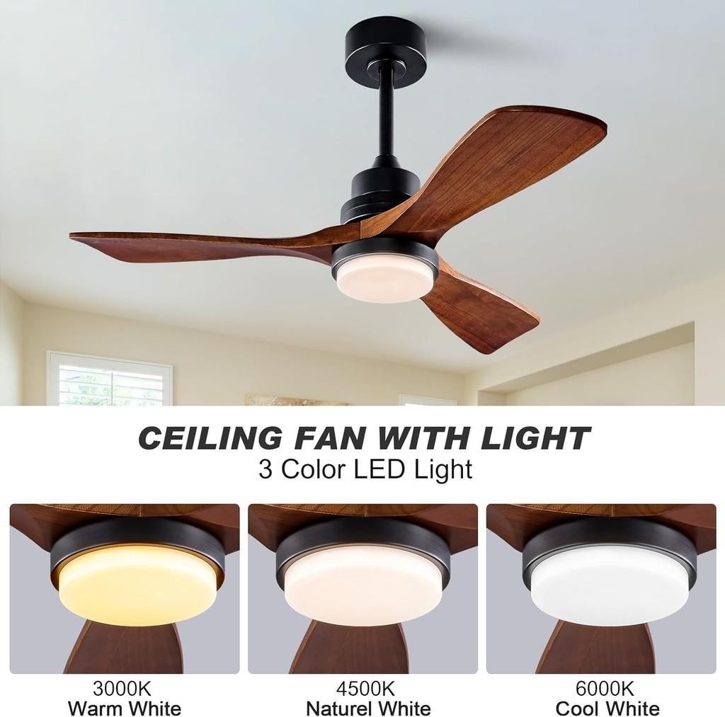 Modern Designer Ceiling Fan with Remote Control Ceiling Fan with Light ...