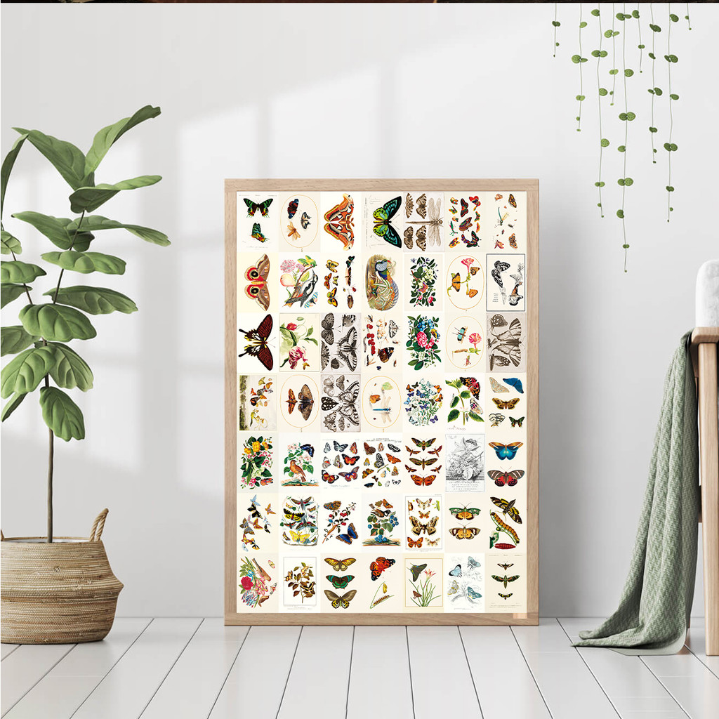 50Pcs Vintage Botanical Aesthetic Wall Collage Kit & Fauna Insects ...